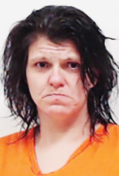 Parkersburg woman arrested in weekend car theft | News, Sports, Jobs ...